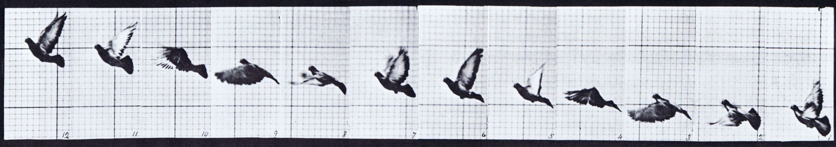 Identifying Similar Images with TensorFlow